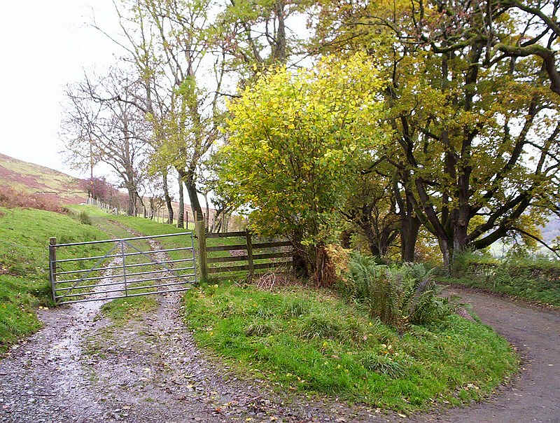 Sale Fell and Ling Fell